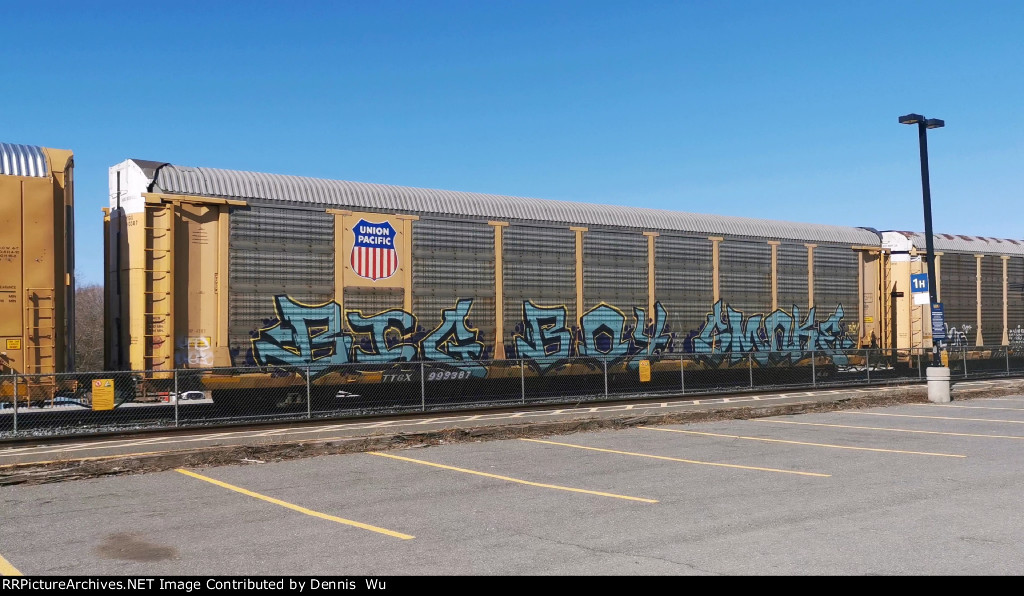 UP 4383 (Body) TTGX 993387 (Flat)